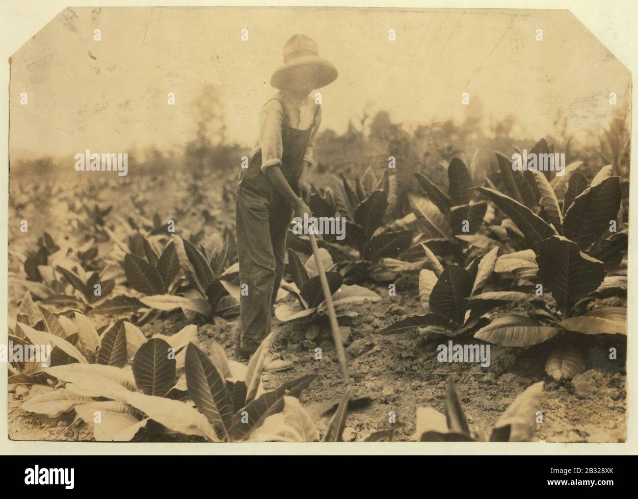 George barbee hi-res stock photography and images - Alamy