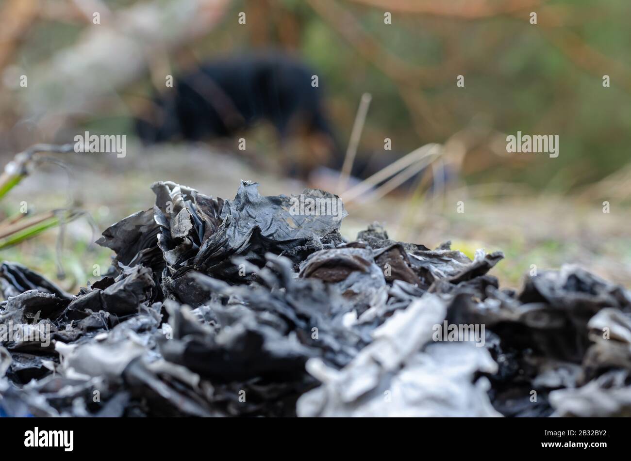 Torn paper side backgrounds hi-res stock photography and images - Alamy
