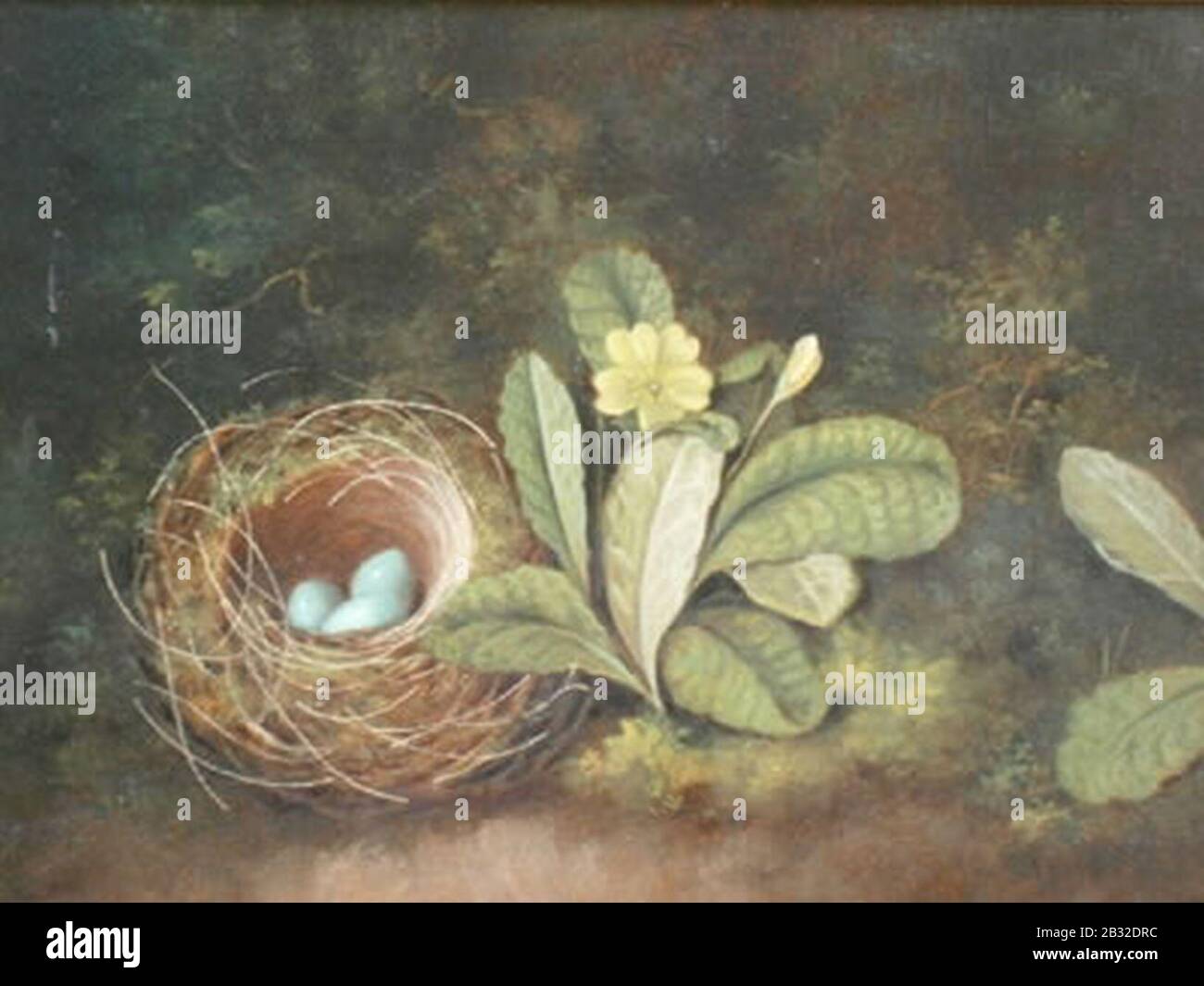 Primrose george hi-res stock photography and images - Alamy