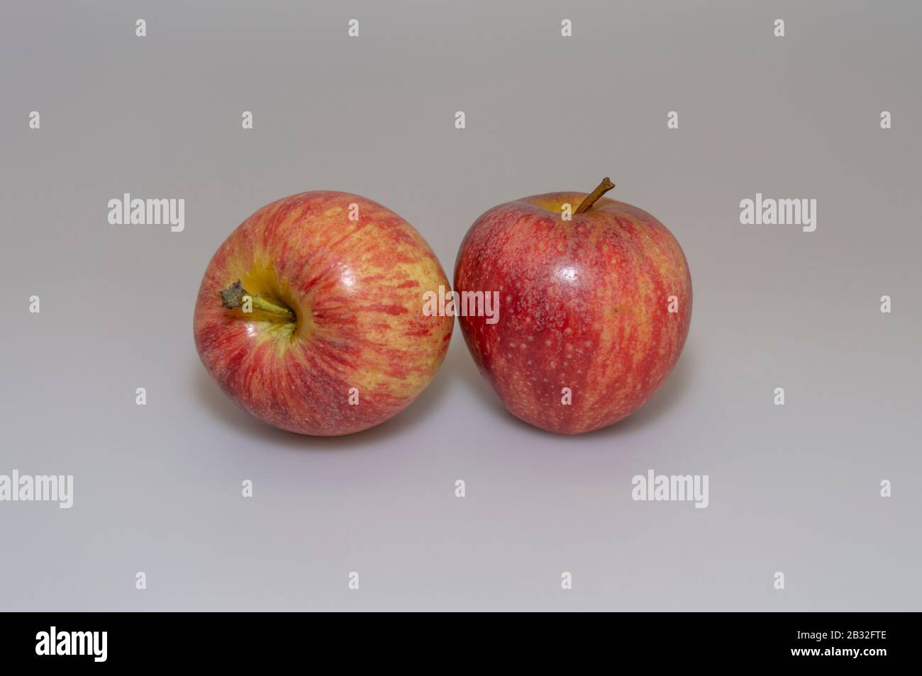 Apple one of the important and beneficial fruits for human food. It is ...