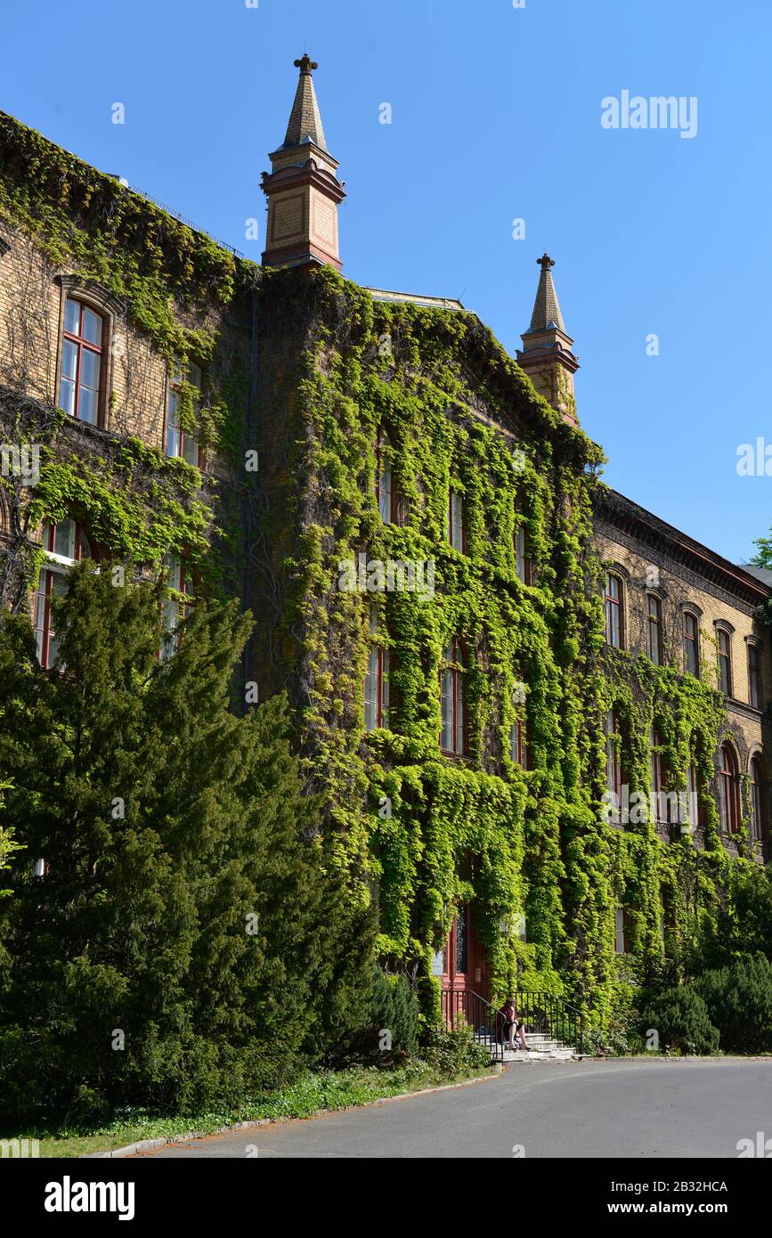 Karl-Bonhoeffer-Nervenklinik, Oranienburger Strasse, Reinickendorf ...