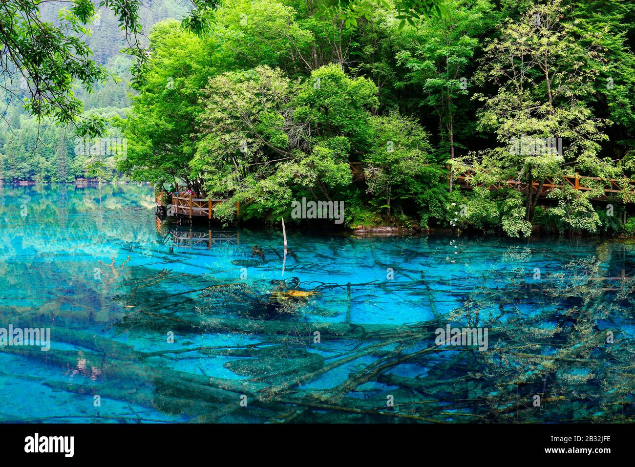 view of colorful lake in jiuzhaigou national park, Sichuan, china Stock ...