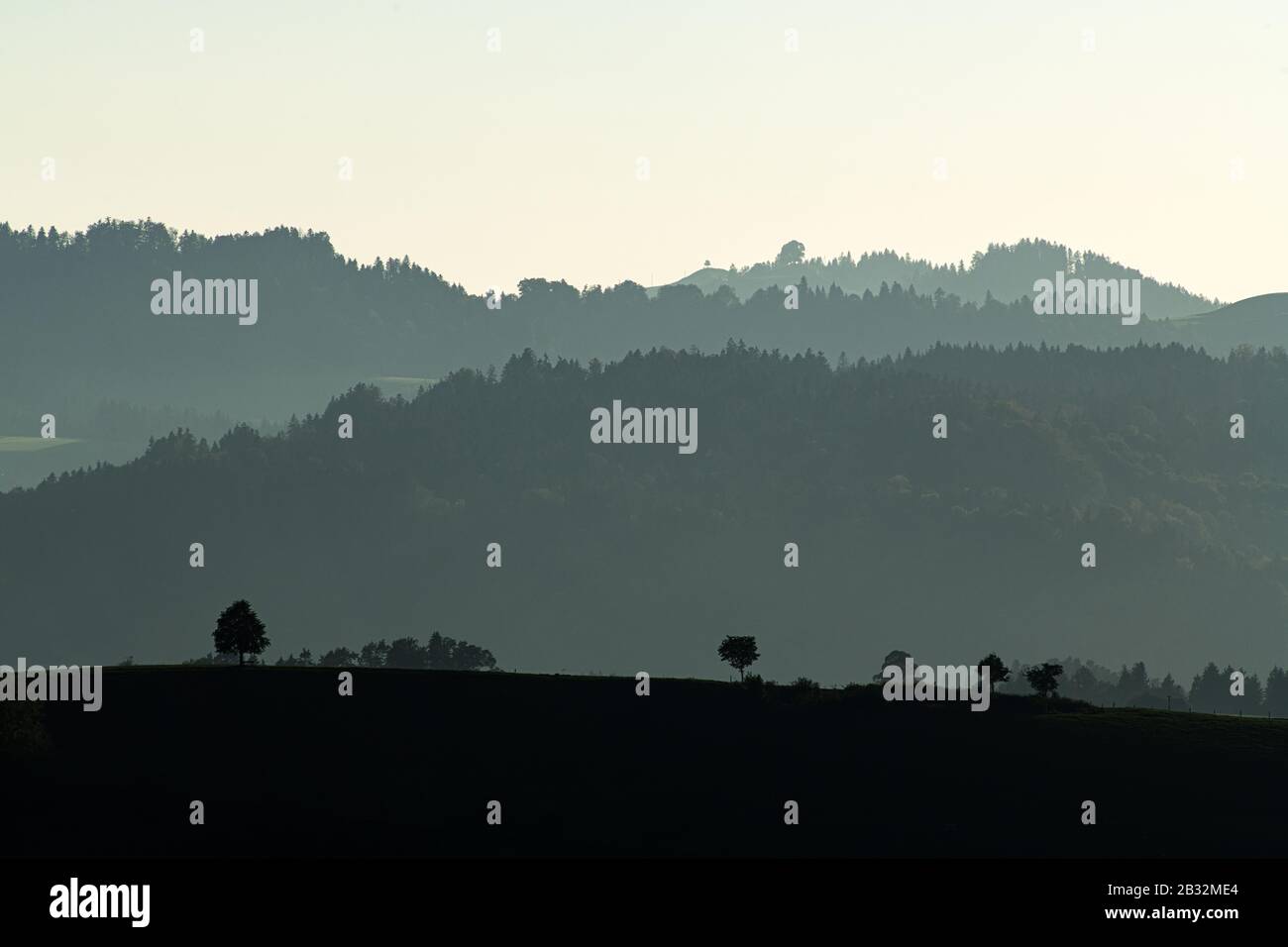 On a summer afternoon the backlit sun creates a great contrast in the ...