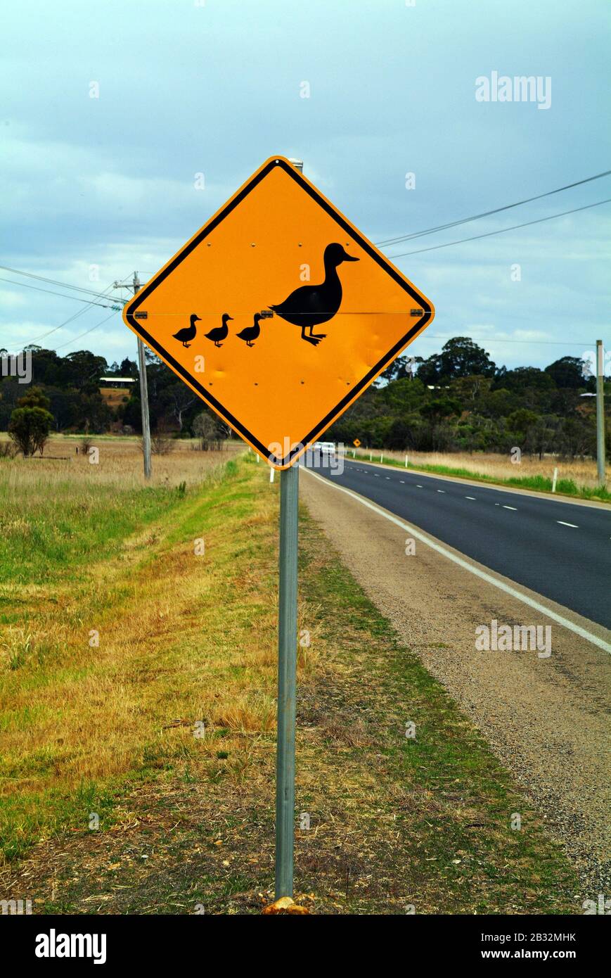 Australia, warning sign for duck crossing Stock Photo - Alamy
