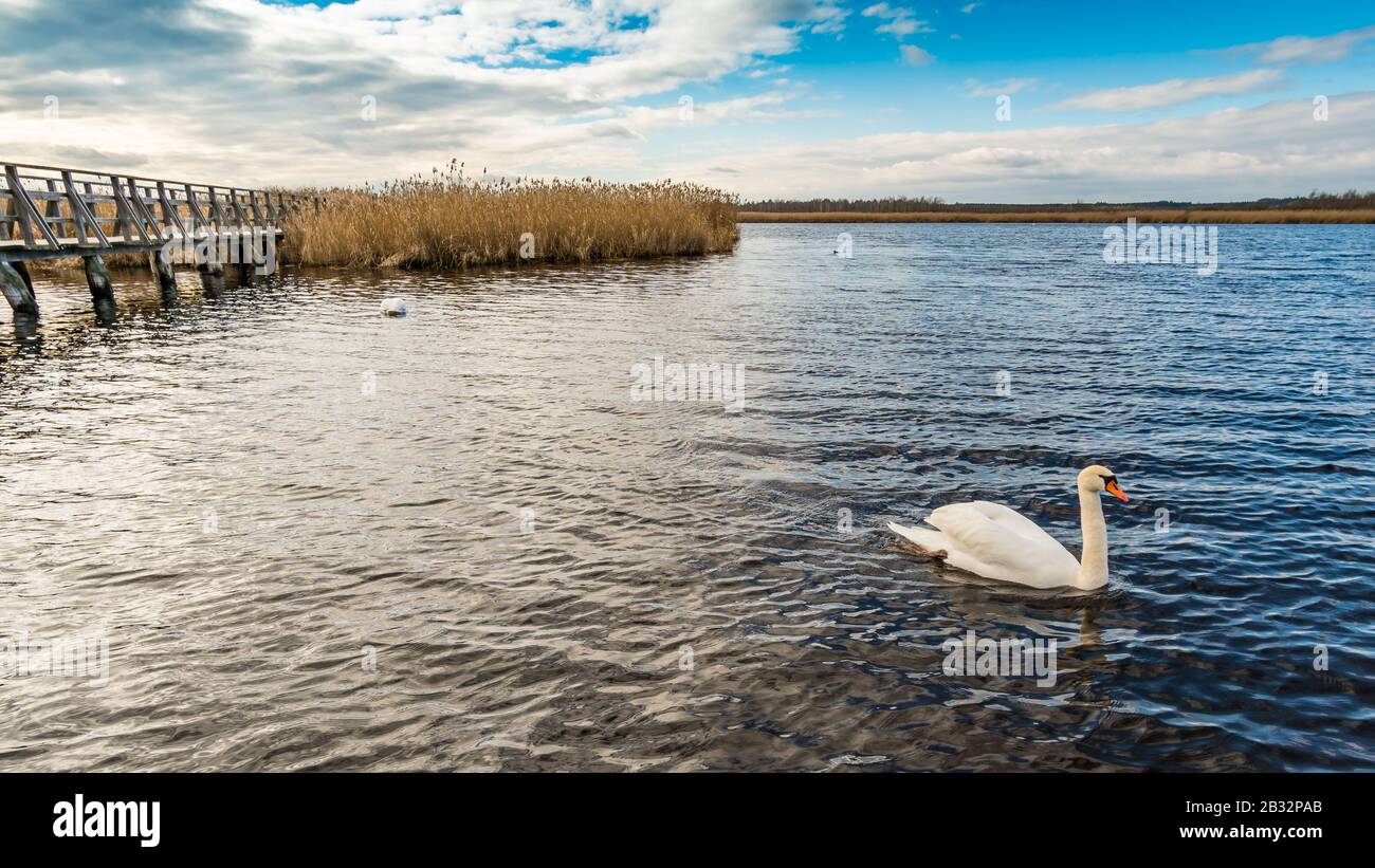 Fantastic day at the Federsee natural world heritage site near Bad ...