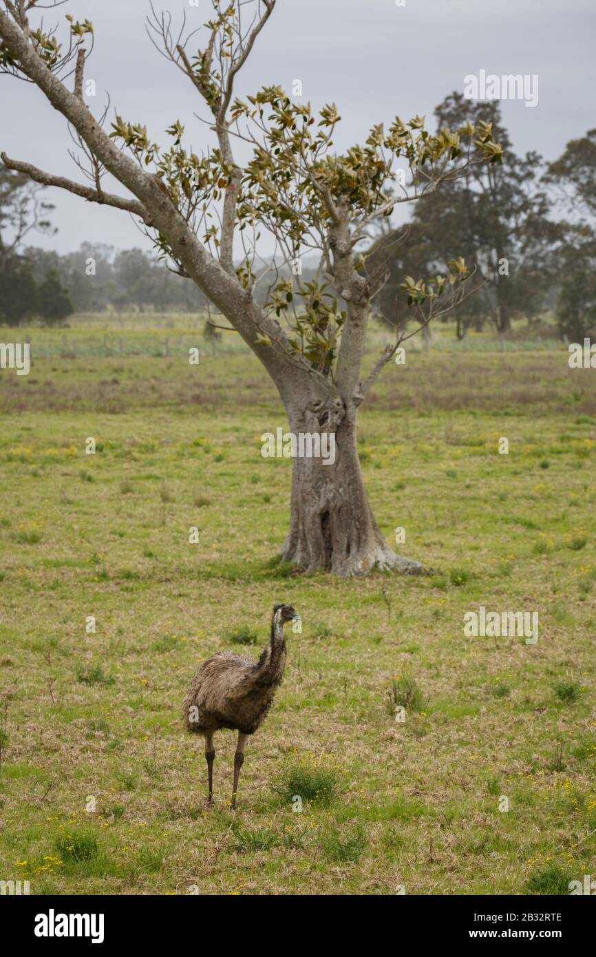 Australian wild landscape hi-res stock photography and images - Alamy