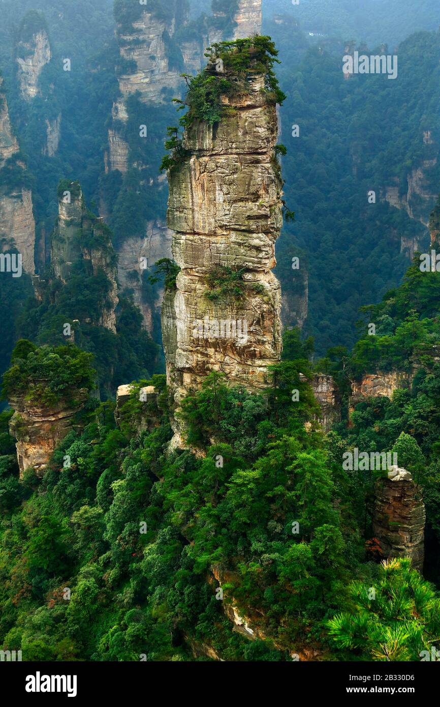 view of limestone cliff in Zhangjiajie national park, hunan,China Stock ...