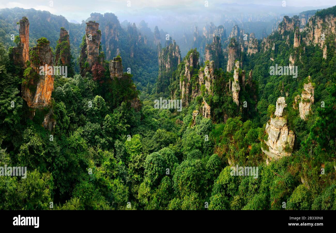 view of limestone cliff in Zhangjiajie national park, hunan,China Stock ...