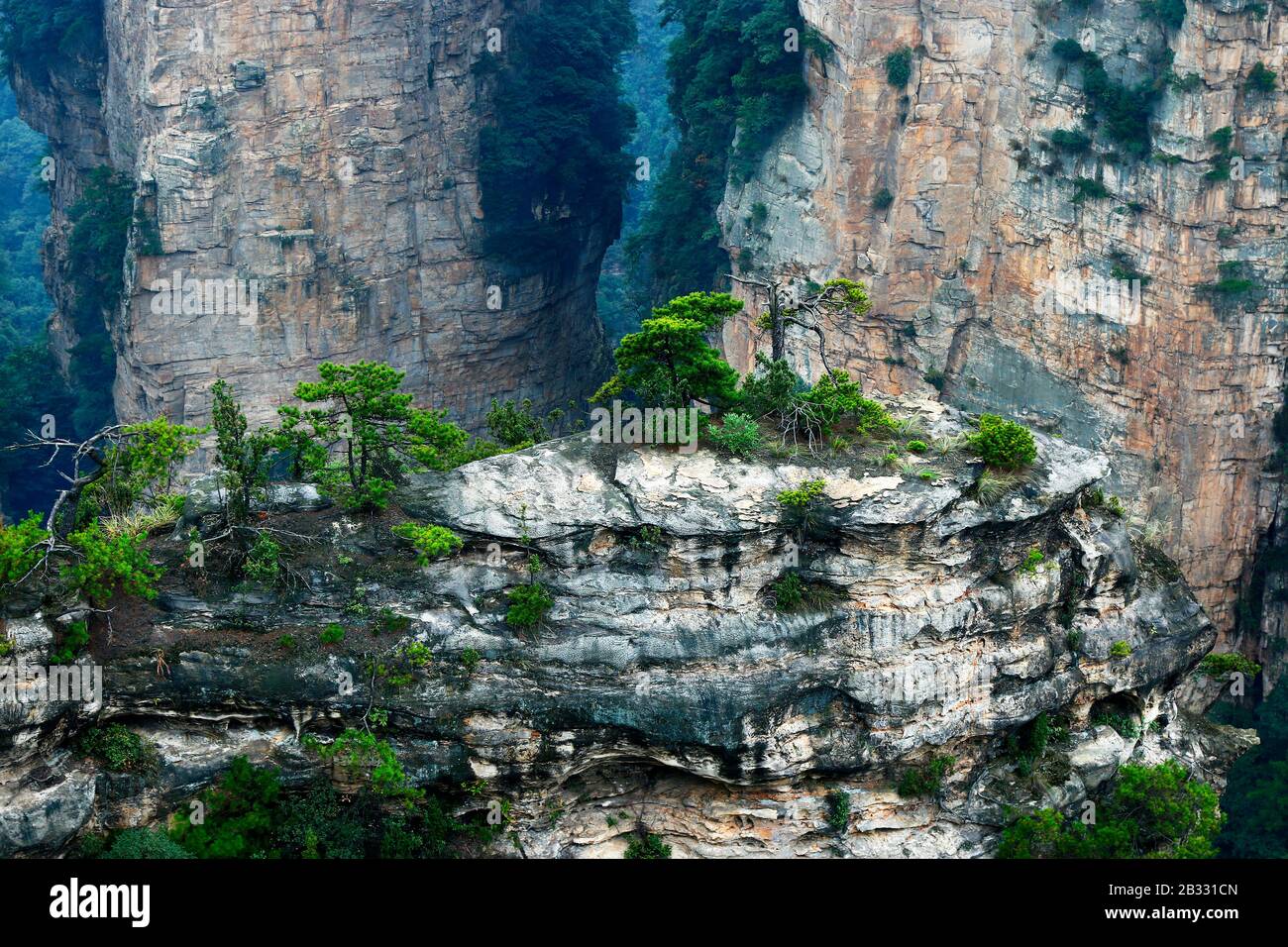 view of limestone cliff in Zhangjiajie national park, hunan,China Stock ...