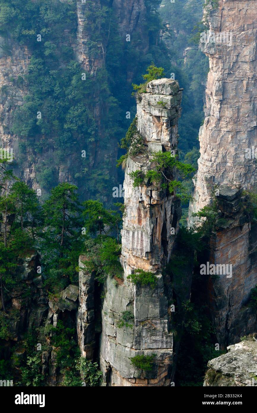 view of limestone cliff in Zhangjiajie national park, hunan,China Stock ...