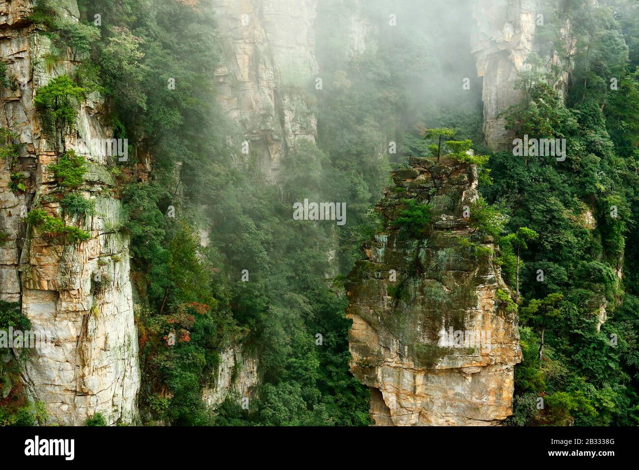 view of limestone cliff in Zhangjiajie national park, hunan,China Stock ...
