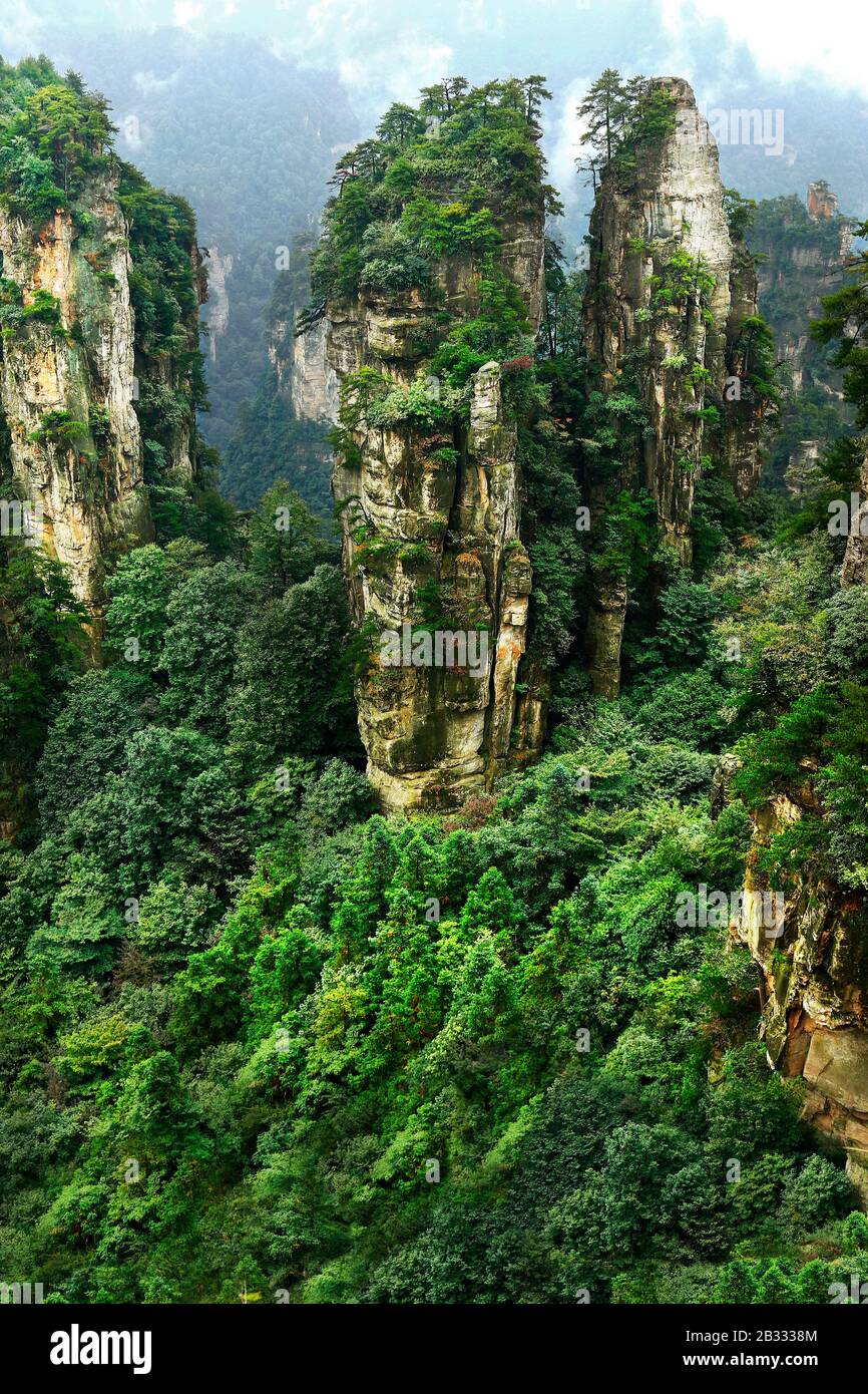 view of limestone cliff in Zhangjiajie national park, hunan,China Stock ...