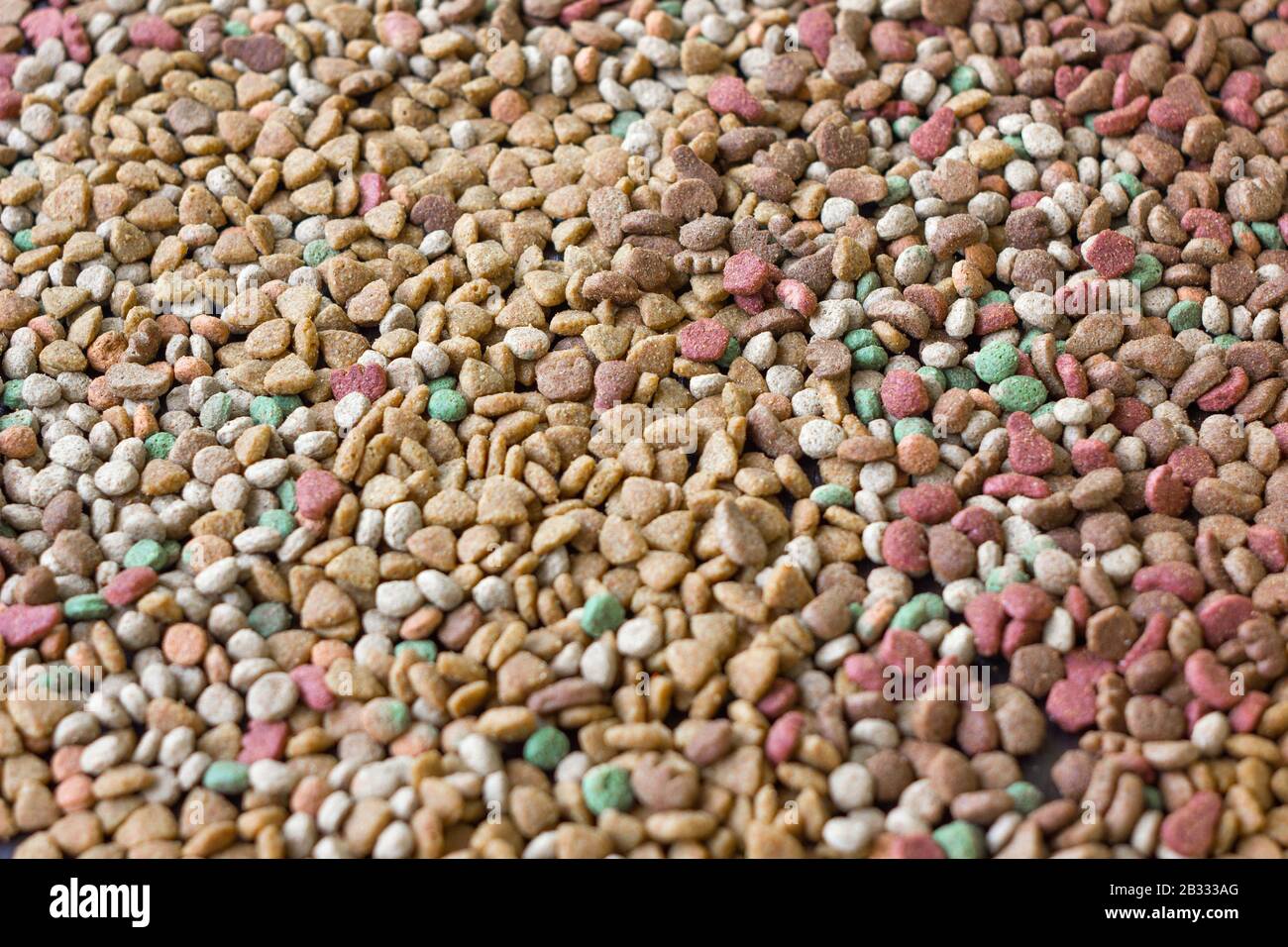 Dry pet food background - a lot of pieces of food in flat position ...