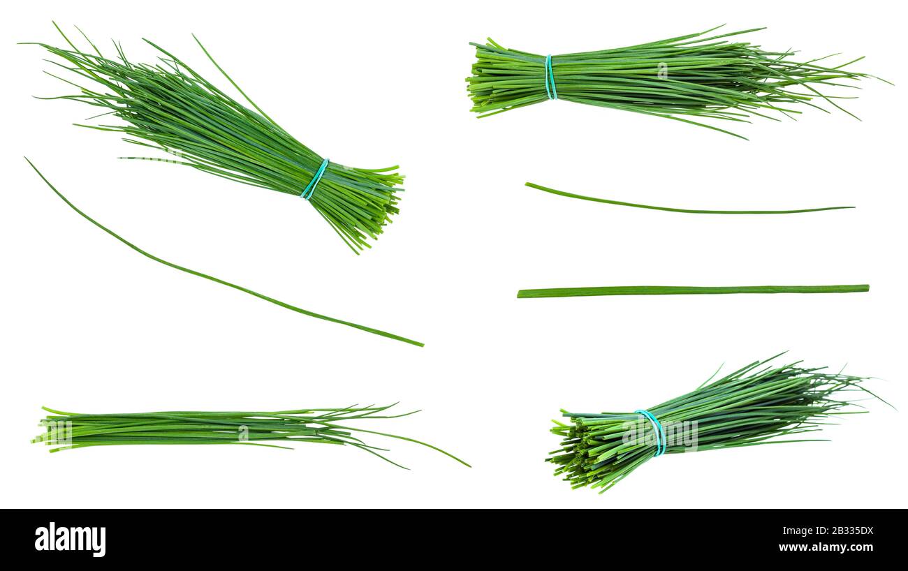 set of fresh Chives herb isolated on white background Stock Photo - Alamy