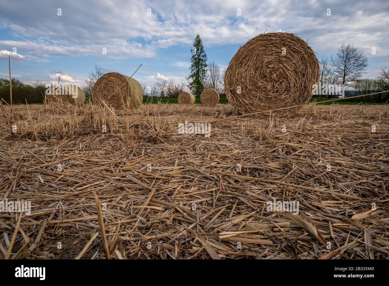 Hay bale at the field at sunset/twilight Stock Photo - Alamy