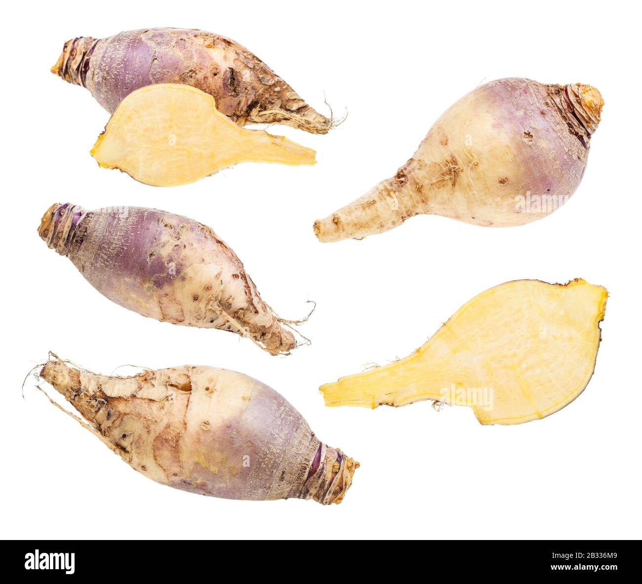 Turnip cross section hi-res stock photography and images - Alamy