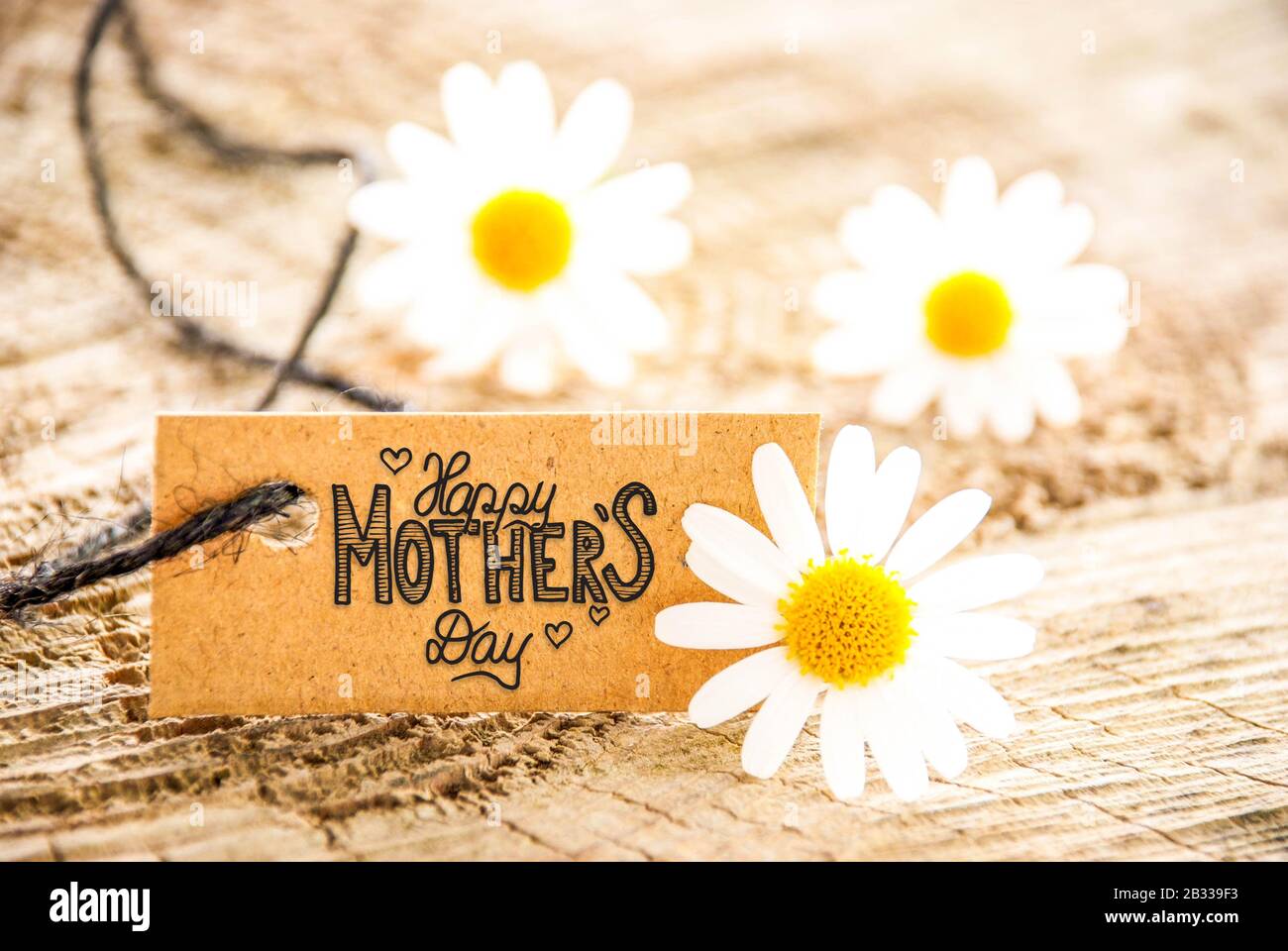 Label With Calligraphy Happy Mothers Day. Daisy Blossoms Stock Photo ...