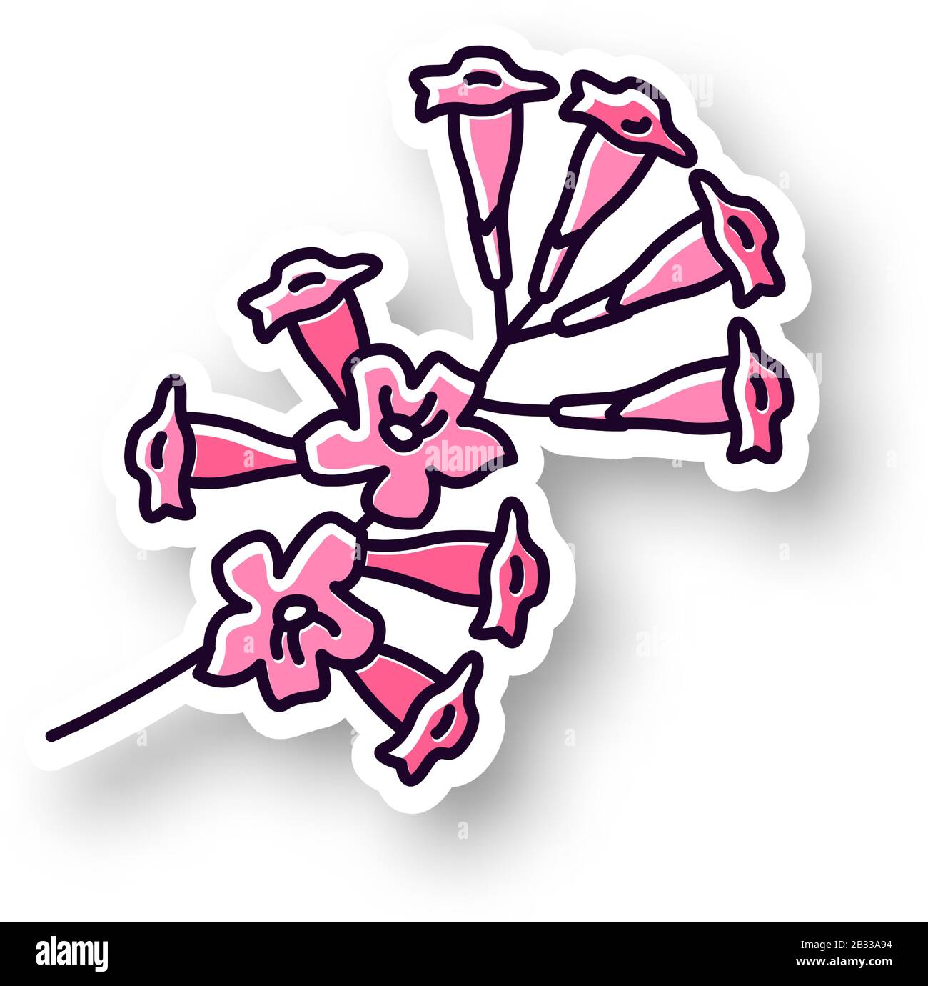 South american plant Cut Out Stock Images & Pictures - Alamy