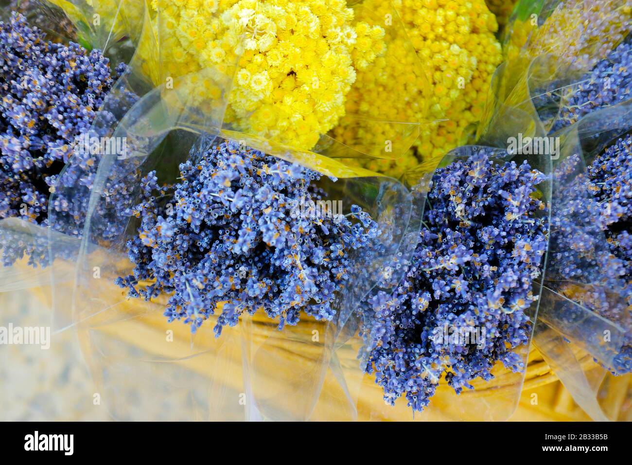 Lavender cluster hi-res stock photography and images - Alamy