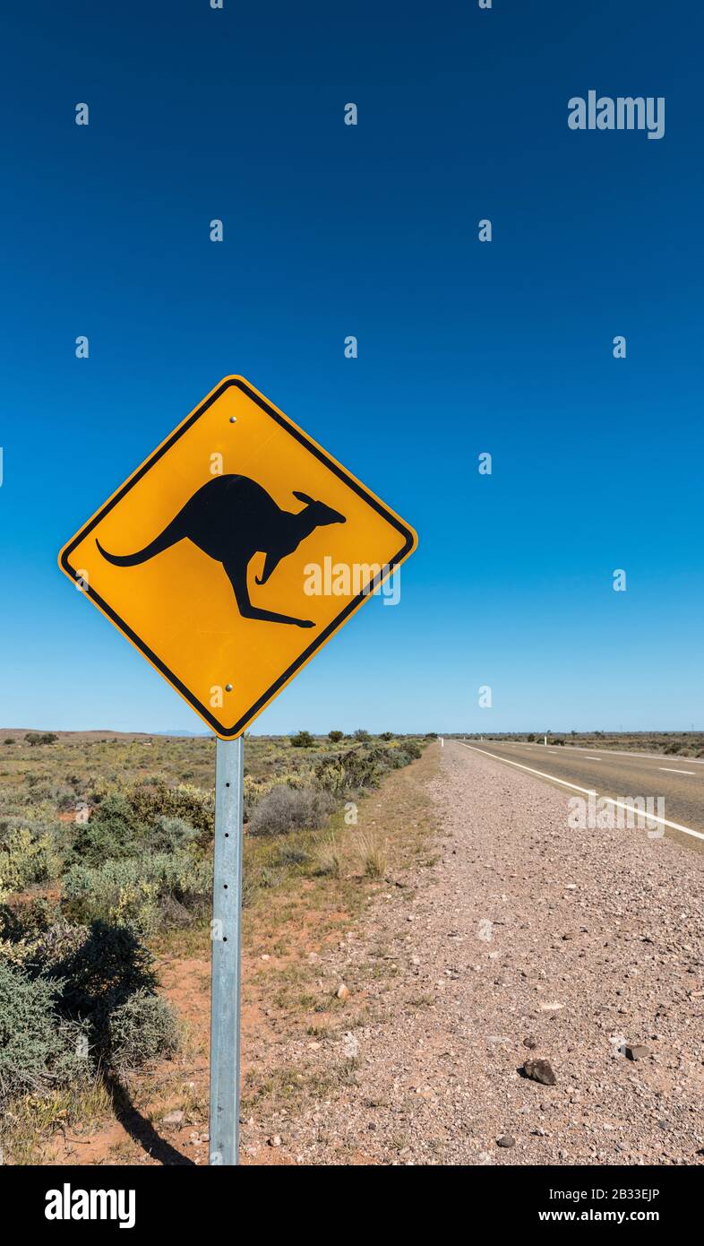 Kangaroo Road Sign, Outback, Australia. Blue Sky Stock Photo - Alamy