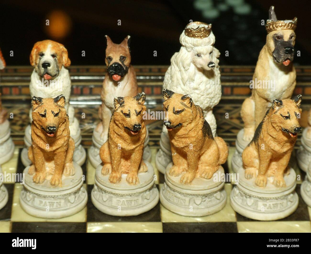 Chess piece. Cats versus dogs Stock Photo - Alamy