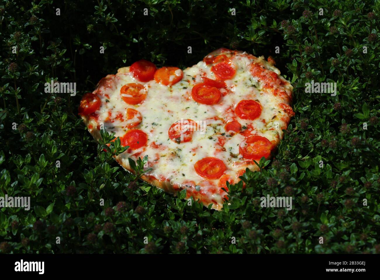 Picture of a pizza hi-res stock photography and images - Alamy