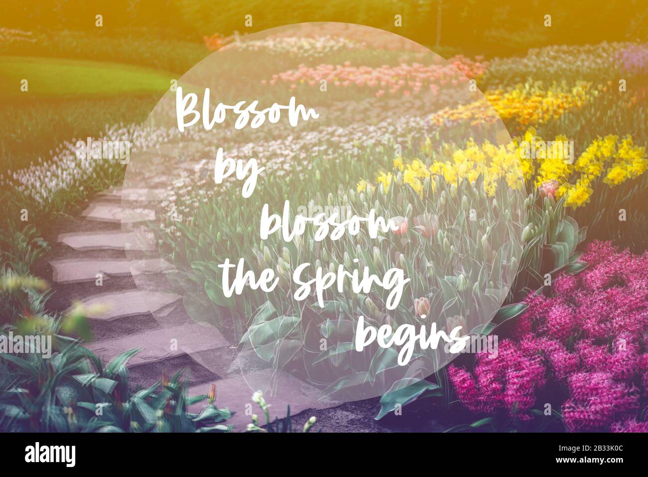 Blossom by blossom the Spring begins phrase in the frame. Nice curvy ...