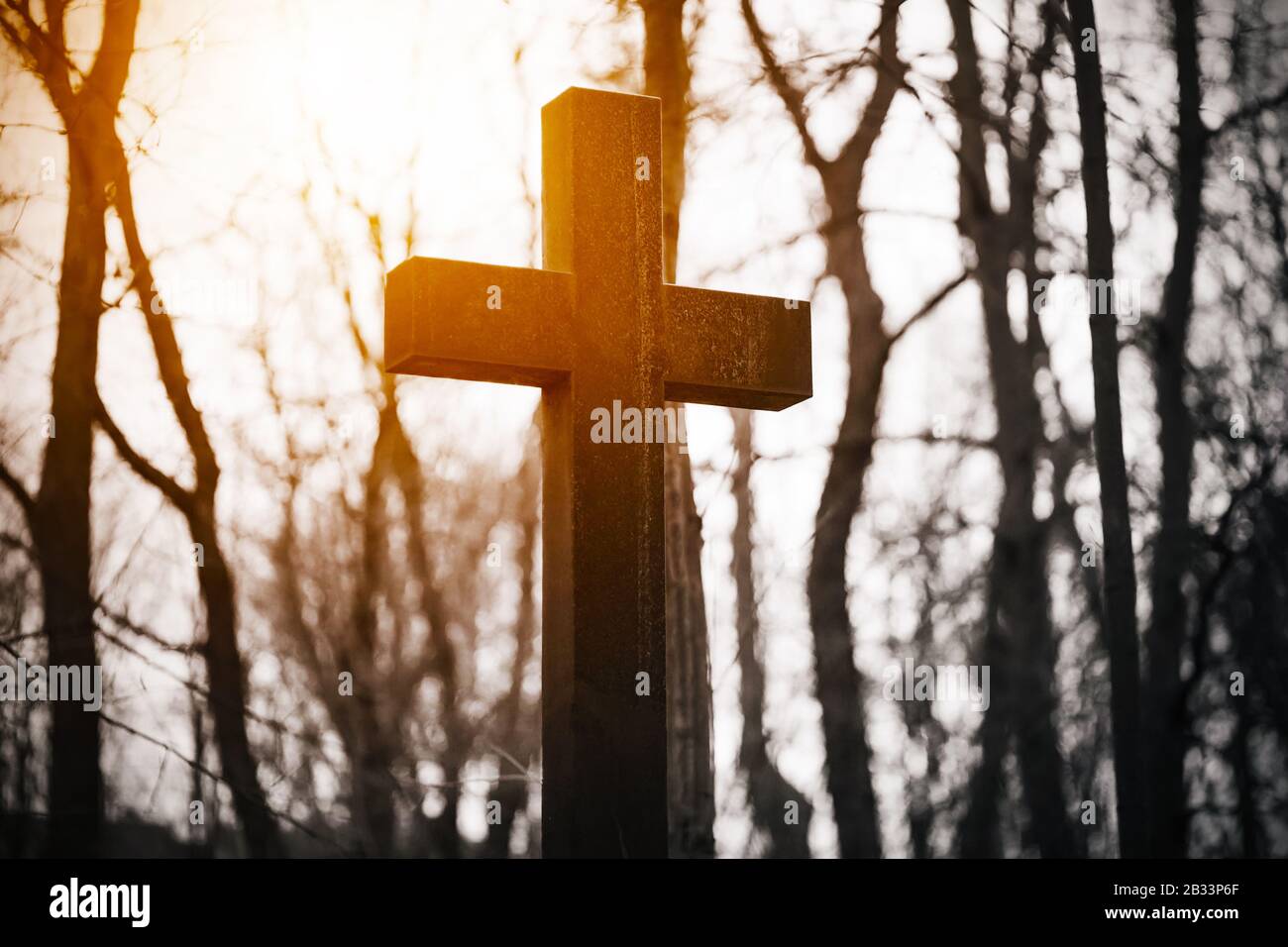 Black stone cross in the dark gloomy forest, with thin tree trunks ...