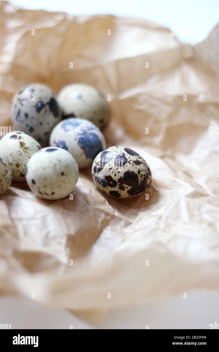 Egg shell paper texture hi-res stock photography and images - Alamy