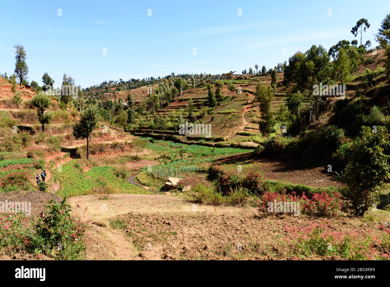 Small valley with agriculture in the Usambara Mountains Stock Photo - Alamy