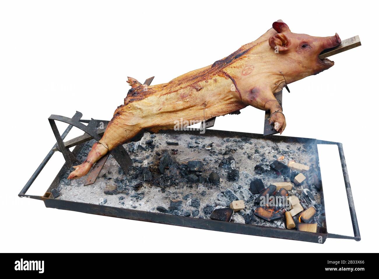 A young pig body is fried on coals in a street restaurant. Isolated on ...
