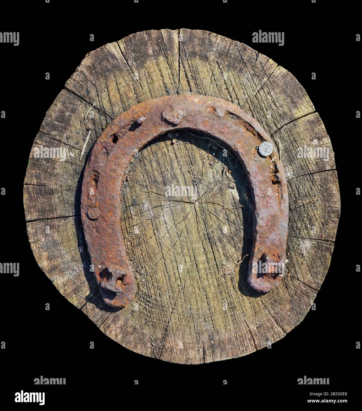 A large rusty horseshoe is nailed to an oak stump. This is done to make ...