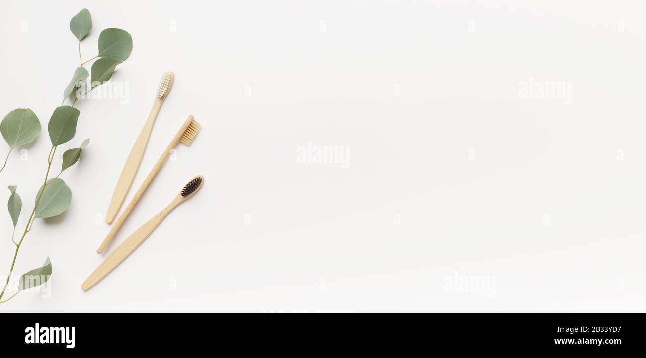 Toothbrush tree hi-res stock photography and images - Alamy