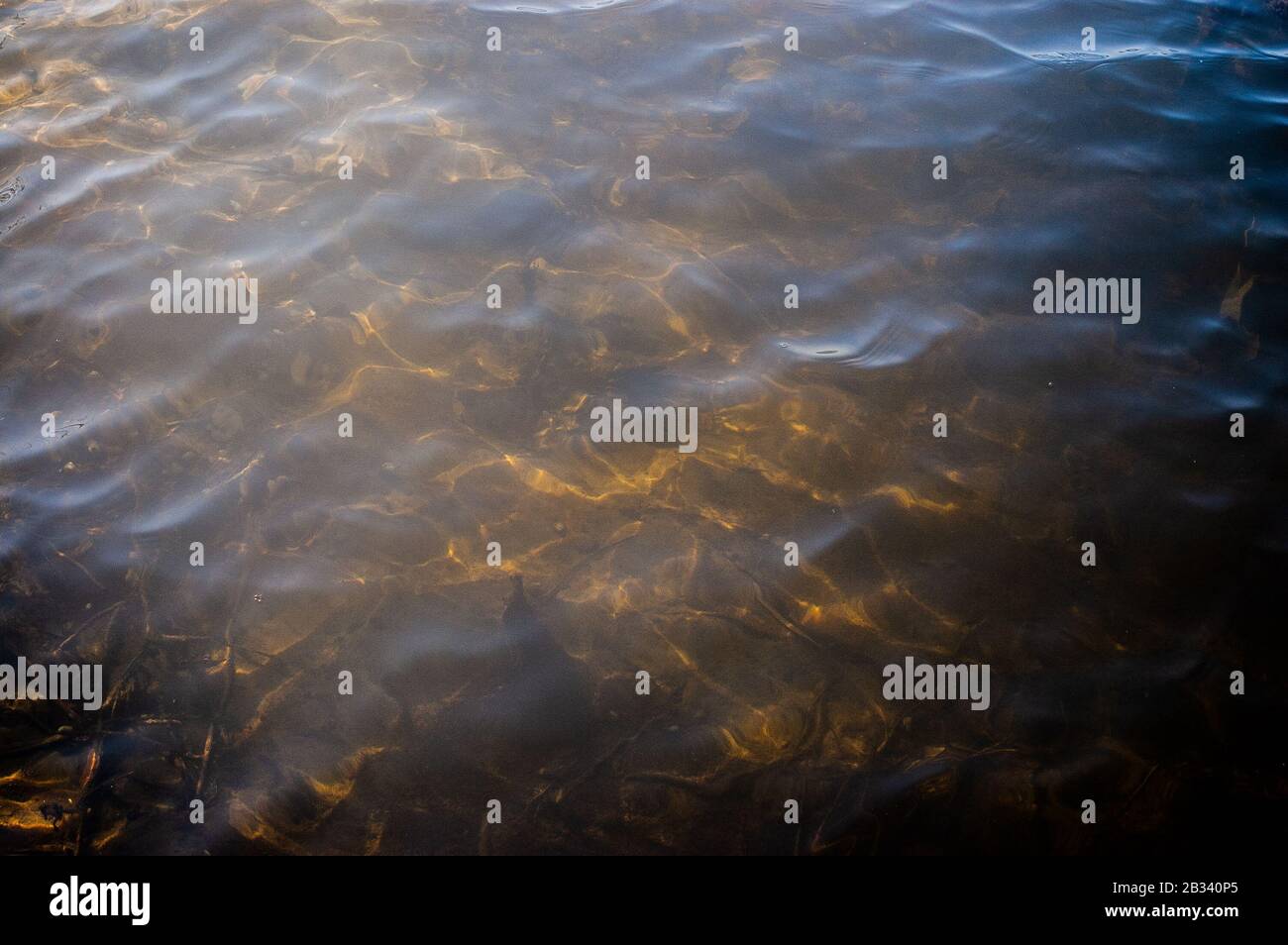 water, lake, wave, background. River water texture. glare and ...