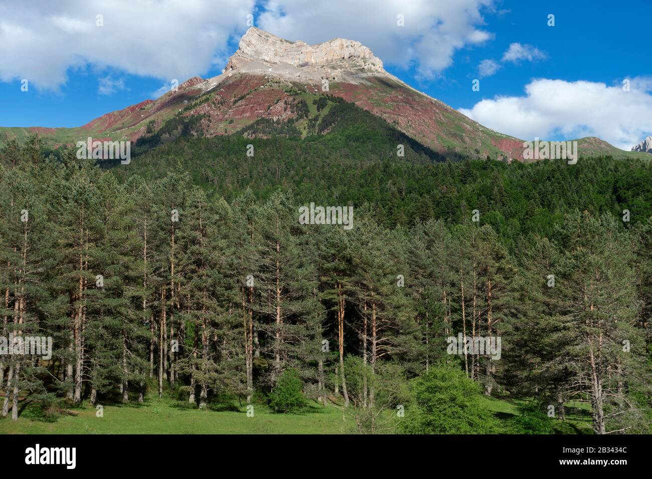 Castillo de Acher peak (2384m).Selva de Oza.Hecho valley.Pyrenees ...