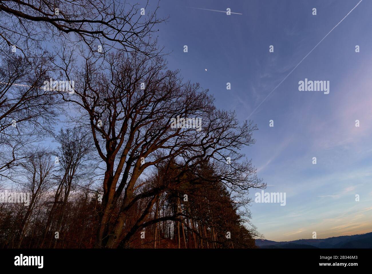 The Stauffenberg castle in Durbach in the black forest area in germany ...