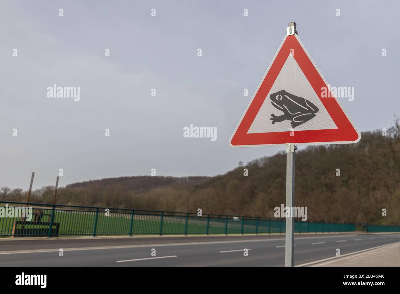 the sign is warning car drivers that toad can cross the street Stock ...