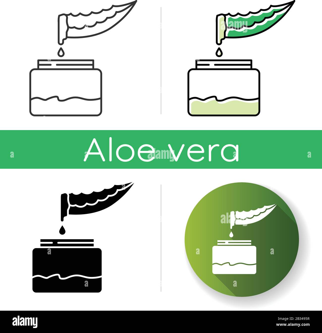 Long thin leaf Stock Vector Images - Alamy