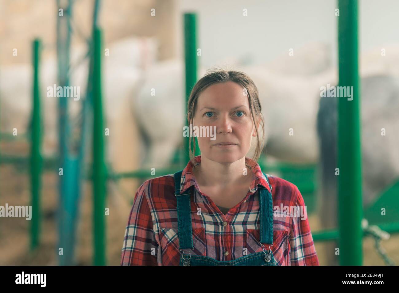 Portrait of female rancher at horse stable looking at camera. Adult ...