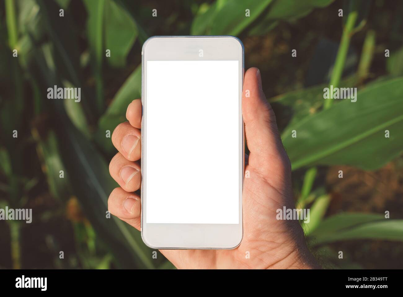 Agricultural smartphone app mock up screen in corn farming, farmer ...