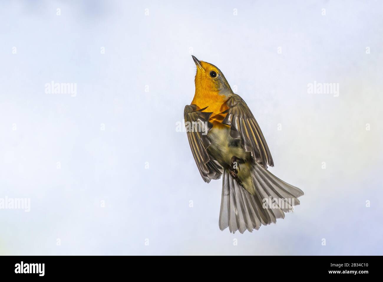 Dynamic view from below hi-res stock photography and images - Alamy