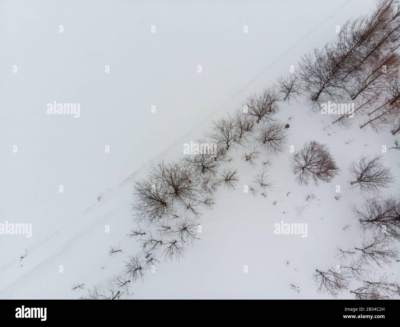 Aerial vertical snow covered trees hi-res stock photography and images ...