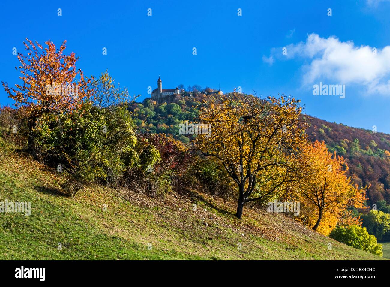 Teck castle hi-res stock photography and images - Alamy