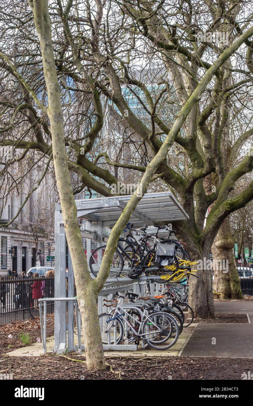 Tree cycles hi-res stock photography and images - Alamy