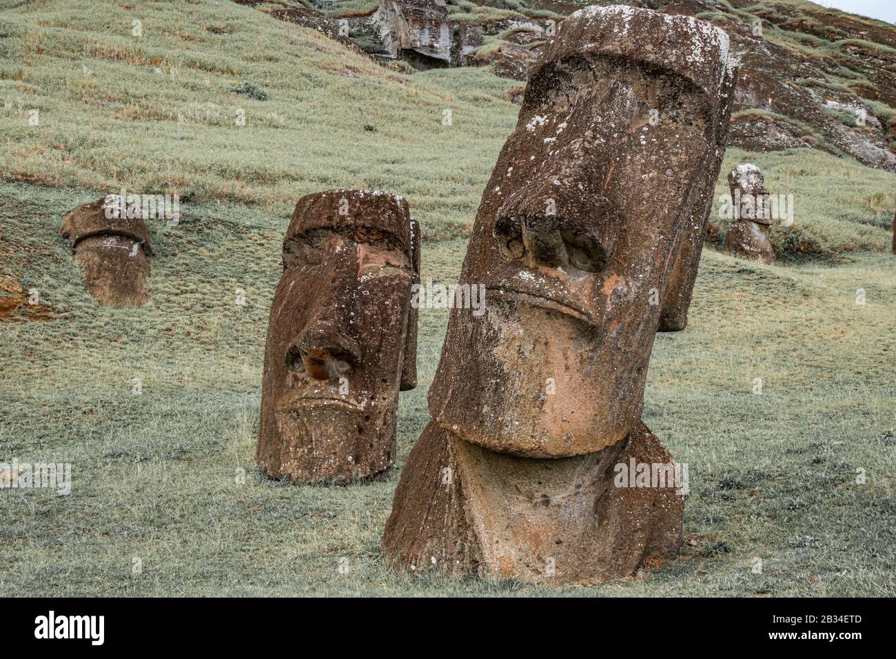Twisted Moai statues in the Rano Raraku Volcano in Rapa Nui Stock Photo ...