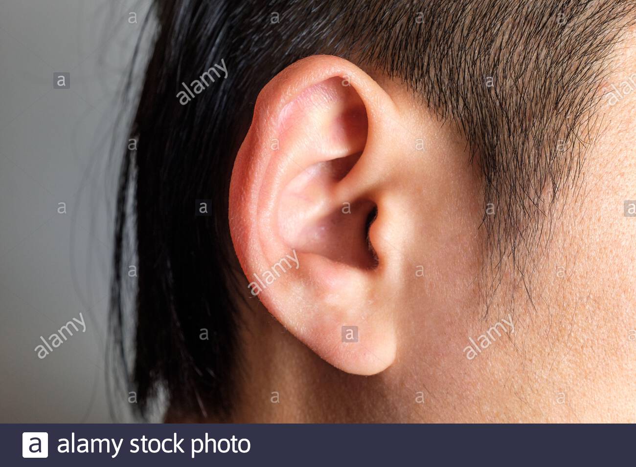Ear Cartilage High Resolution Stock Photography and Images - Alamy