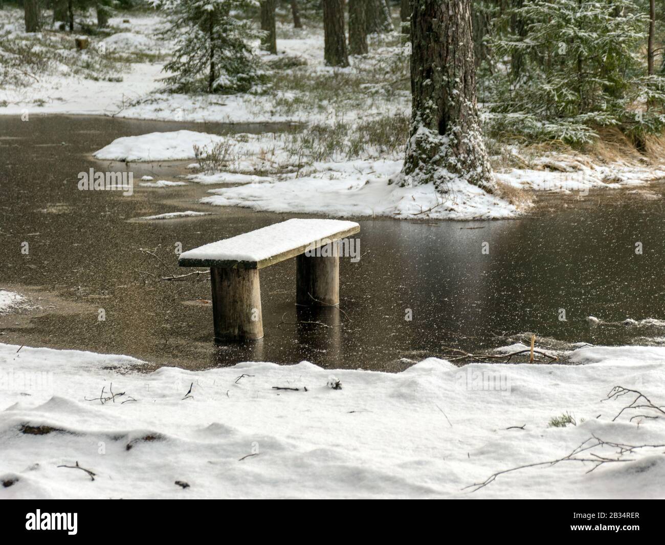 winter landscape with flooded lake shore, picnic area covered with ice ...