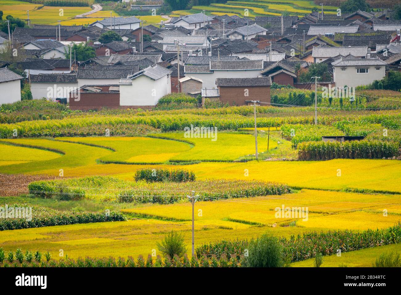Peaceful village life hi-res stock photography and images - Alamy