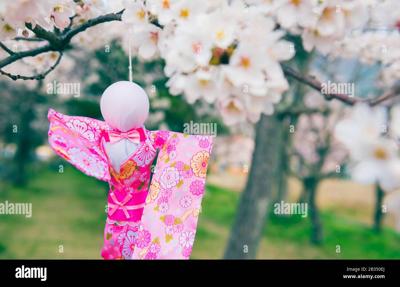 Teru Teru Bozu. Japanese Rain Doll hanging on Sakura tree to pray for ...