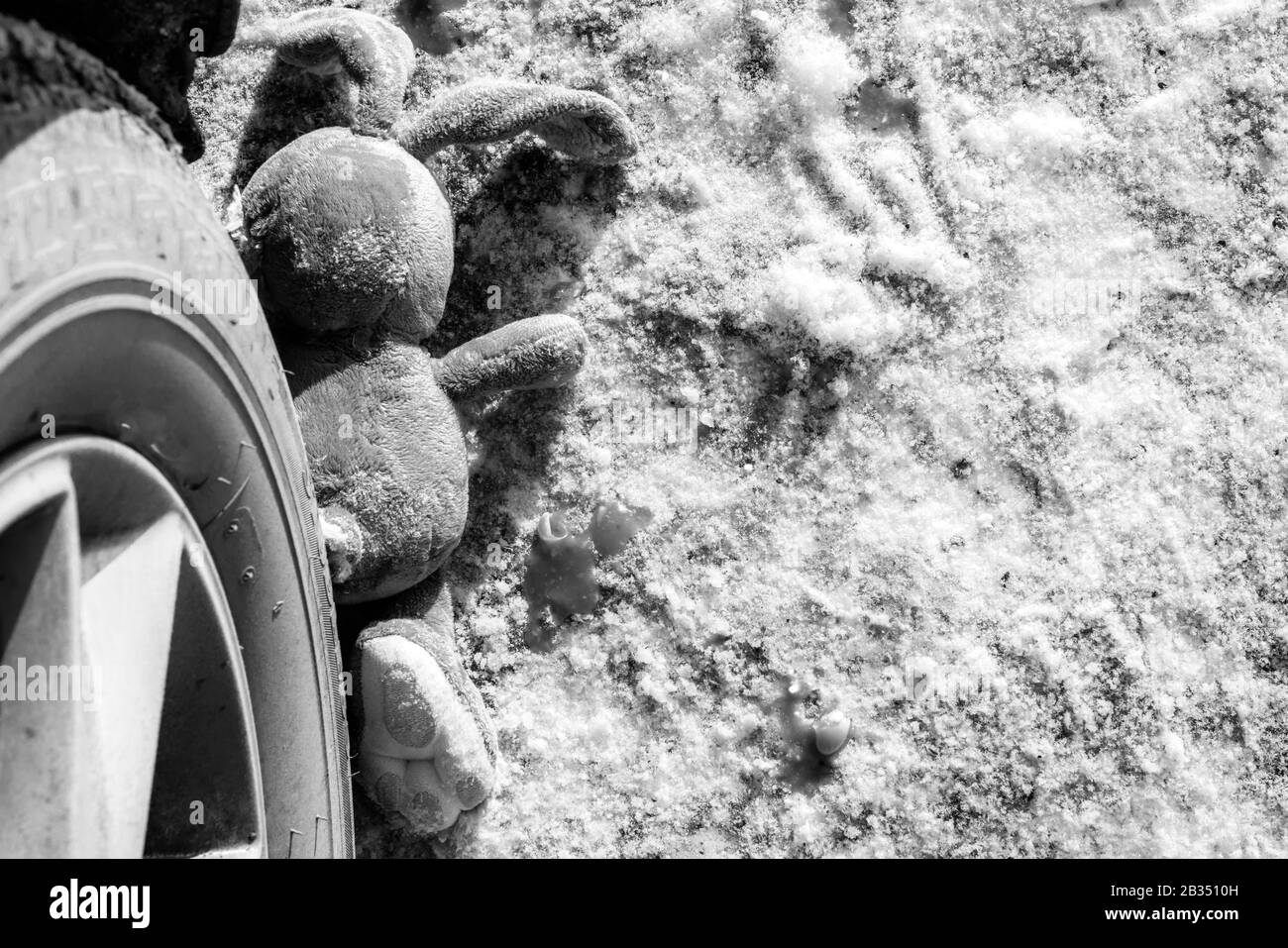 Snow dead rabbit Black and White Stock Photos & Images - Alamy